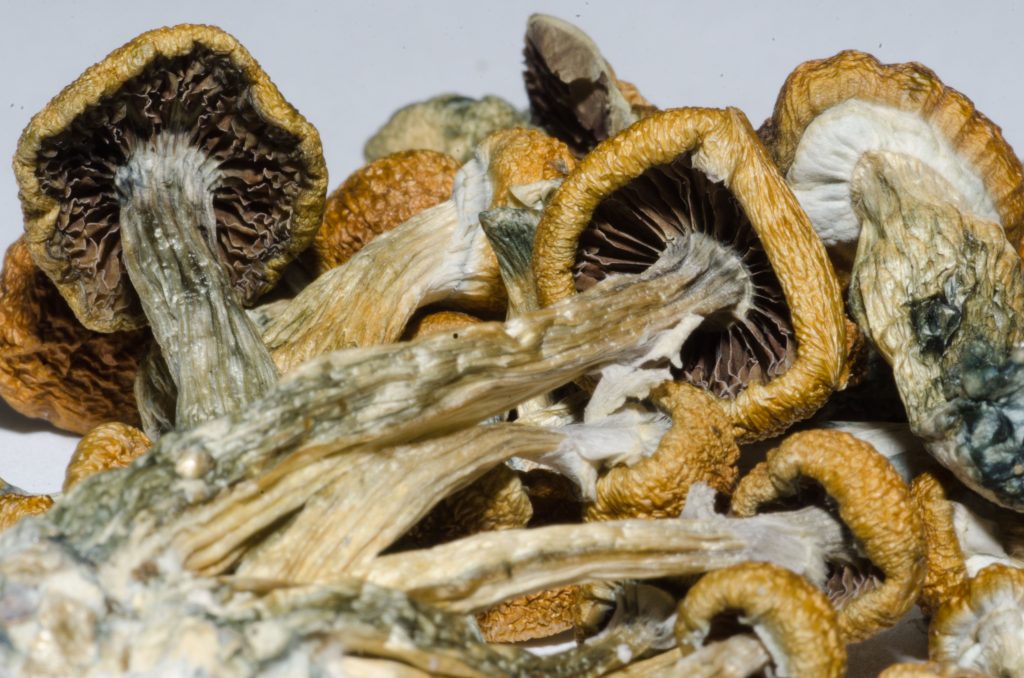 Legal Psychedelics Could End The Antidepressant Industry. - Truth ... Legal Psychedelics Could End The Antidepressant Industry. - Truth ...