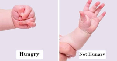 18 Signs That Can Help You Understand Your Baby Better