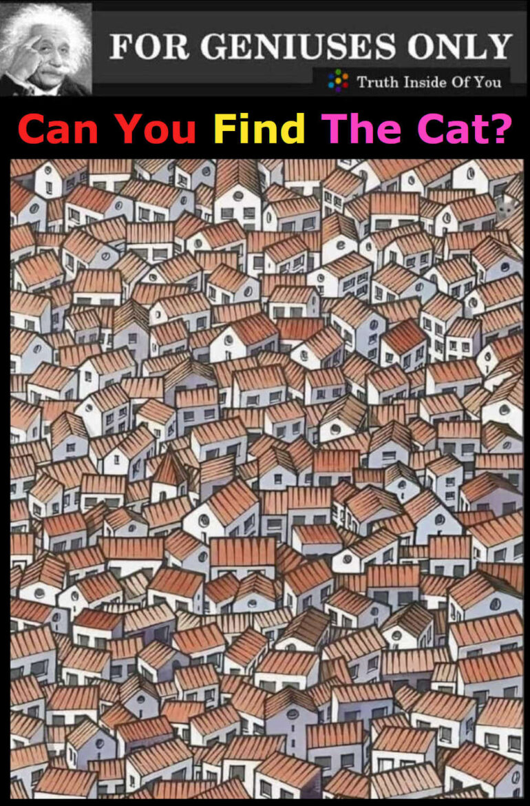 Can You Find The Cat? - Truth Inside Of You