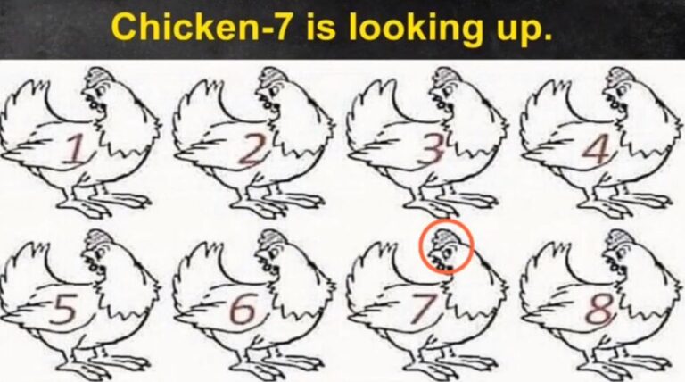 RIDDLE: Nobody Can Determine Which Chicken Is Different - Truth Inside ...