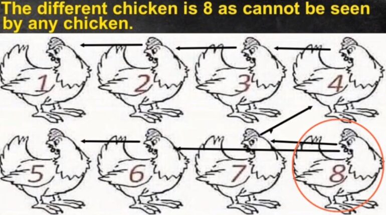 RIDDLE: Nobody Can Determine Which Chicken Is Different - Truth Inside ...